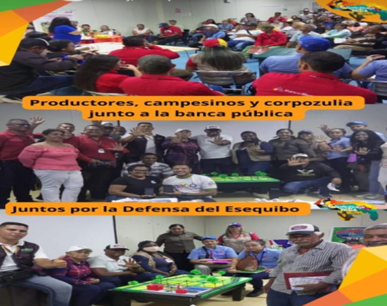 PSUV-ZULIA | SITIO WEB